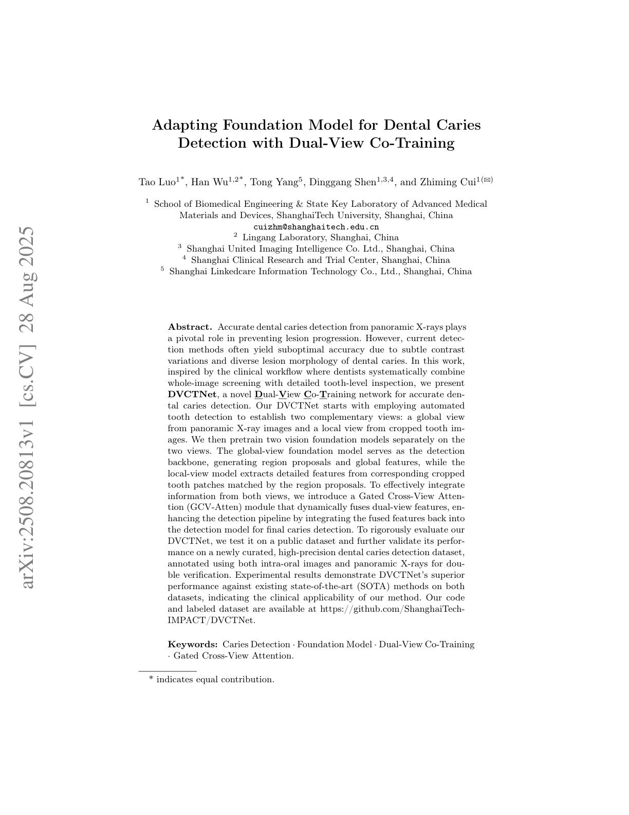Adapting Foundation Model for Dental Caries Detection with Dual-View Co ...