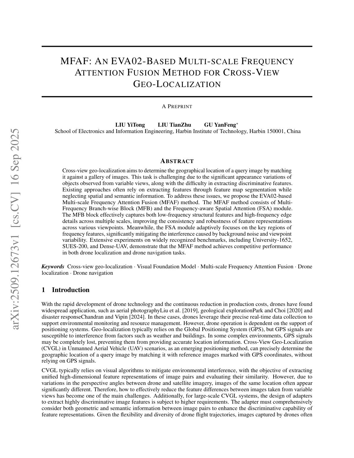 MFAF: An EVA02-Based Multi-scale Frequency Attention Fusion Method for ...
